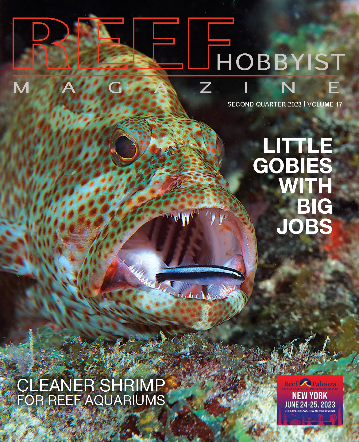 Reef Magazine